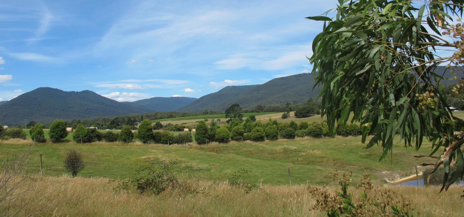 Wurundjeri Land - Deadly Story